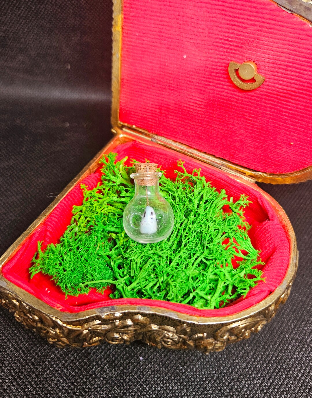 Mini Polter Pet Glow in the Dark Adoptable Ghost A Paranormal Present ...