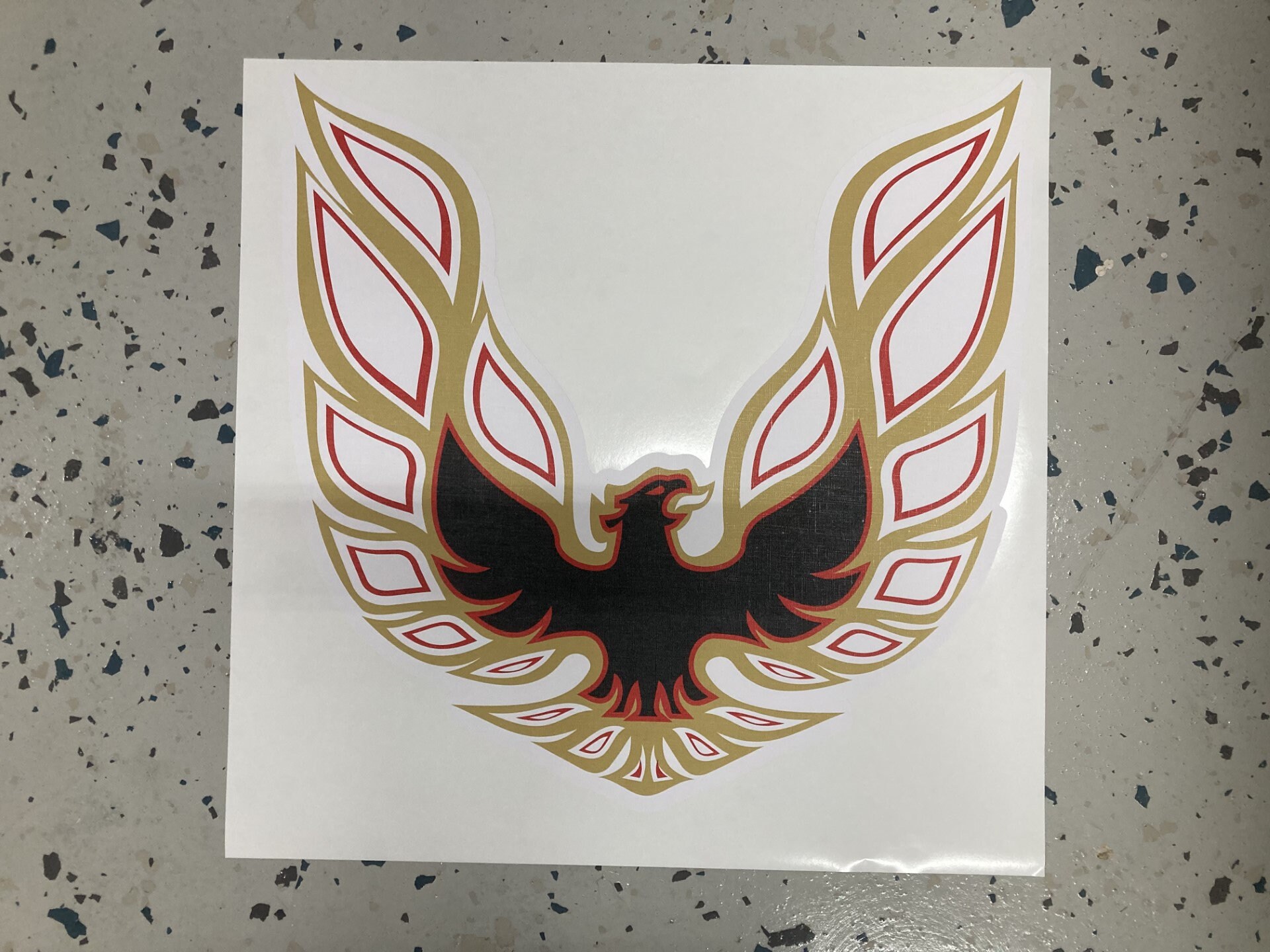 Pontiac Trans Am Phoenix Floor / Wall Vinyl Decal - Etsy