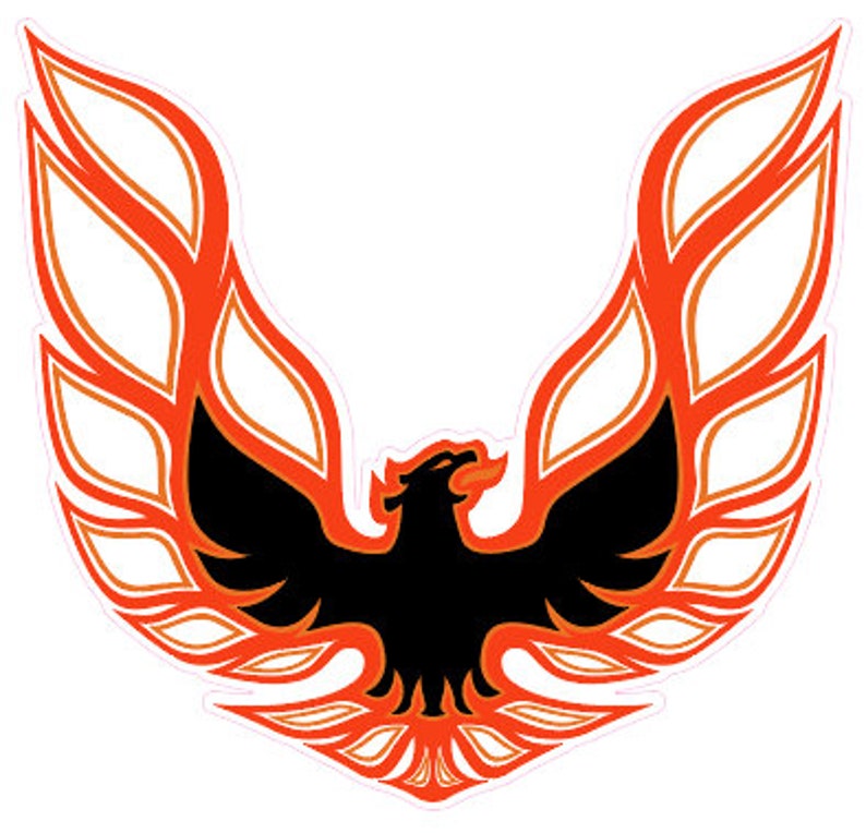 Trans Am Phoenix Vinyl Gloss Decal - Etsy