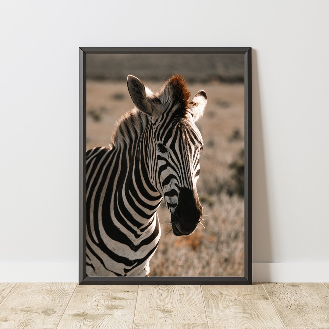Zebra Poster Zebra Print Zebra Wall Art Animal Poster - Etsy