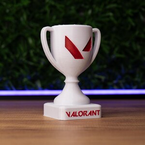 Customizable Valorant Championship Cup - 12cm - Special for Nickname ...