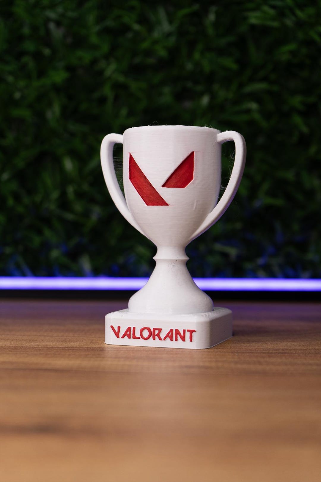 Customizable Valorant Championship Cup - 12cm - Special for Nickname ...