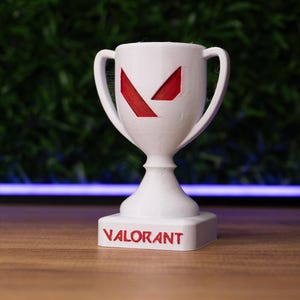 Customizable Valorant Championship Cup - 12cm - Special for Nickname ...