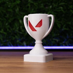 Customizable Valorant Championship Cup - 12cm - Special for Nickname ...