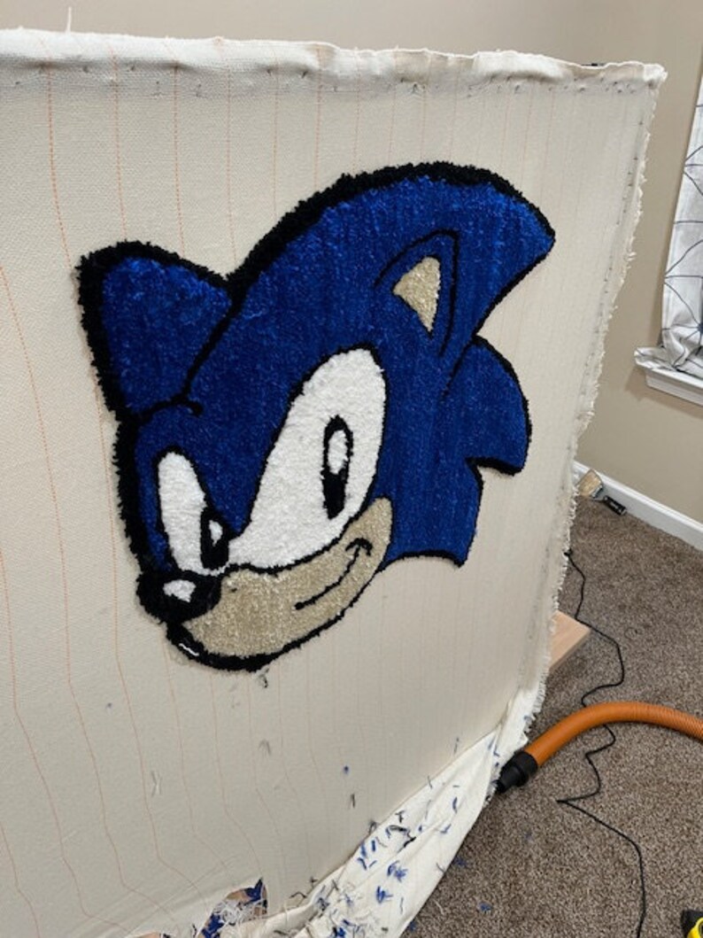 Sonic the Hedgehog Rug, Sonic Rug, Custom Rugs, Room Decor, Cartoon ...