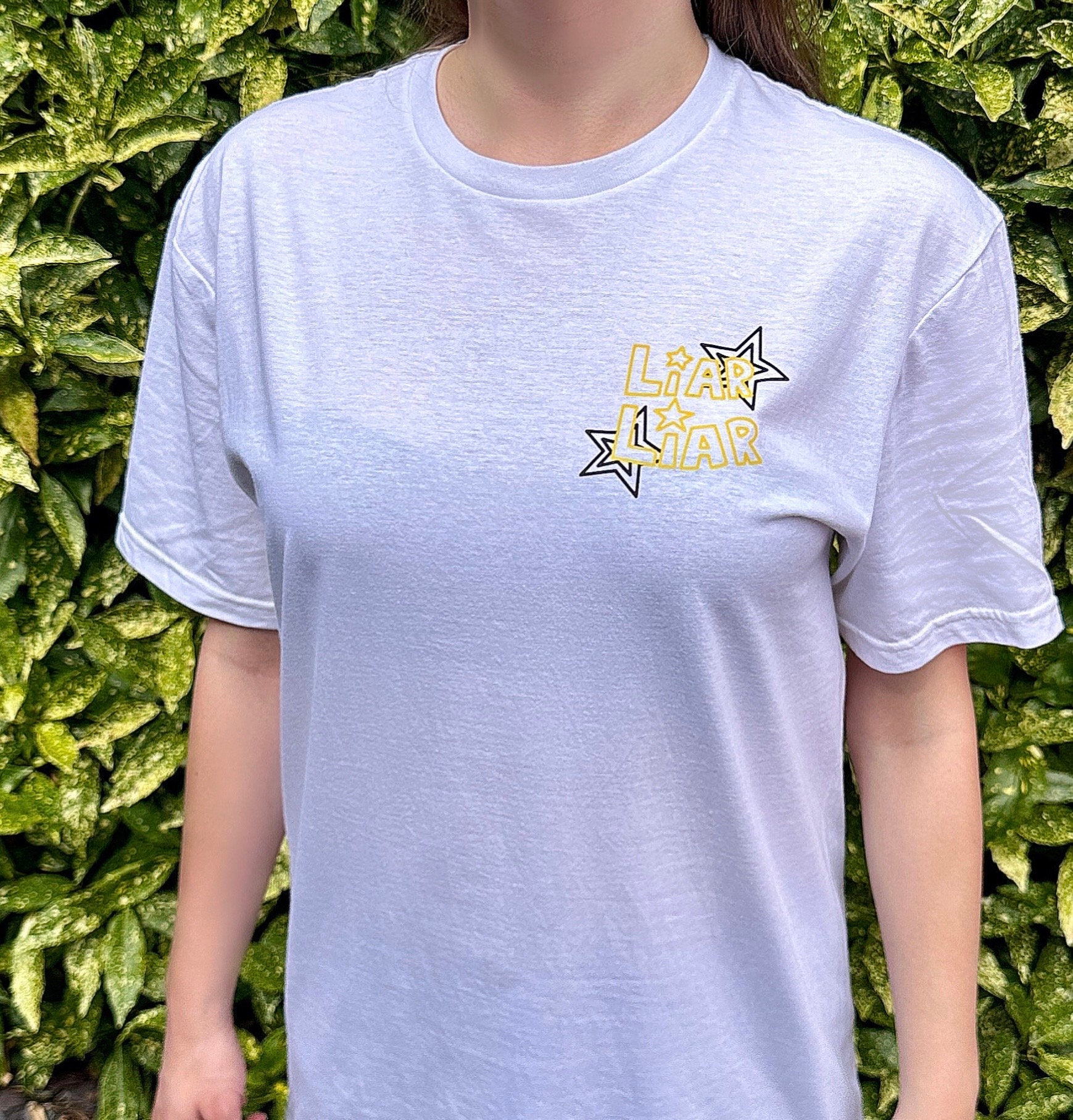 Liar Liar Dylan and Bastille Band Inspired Shirt - Etsy