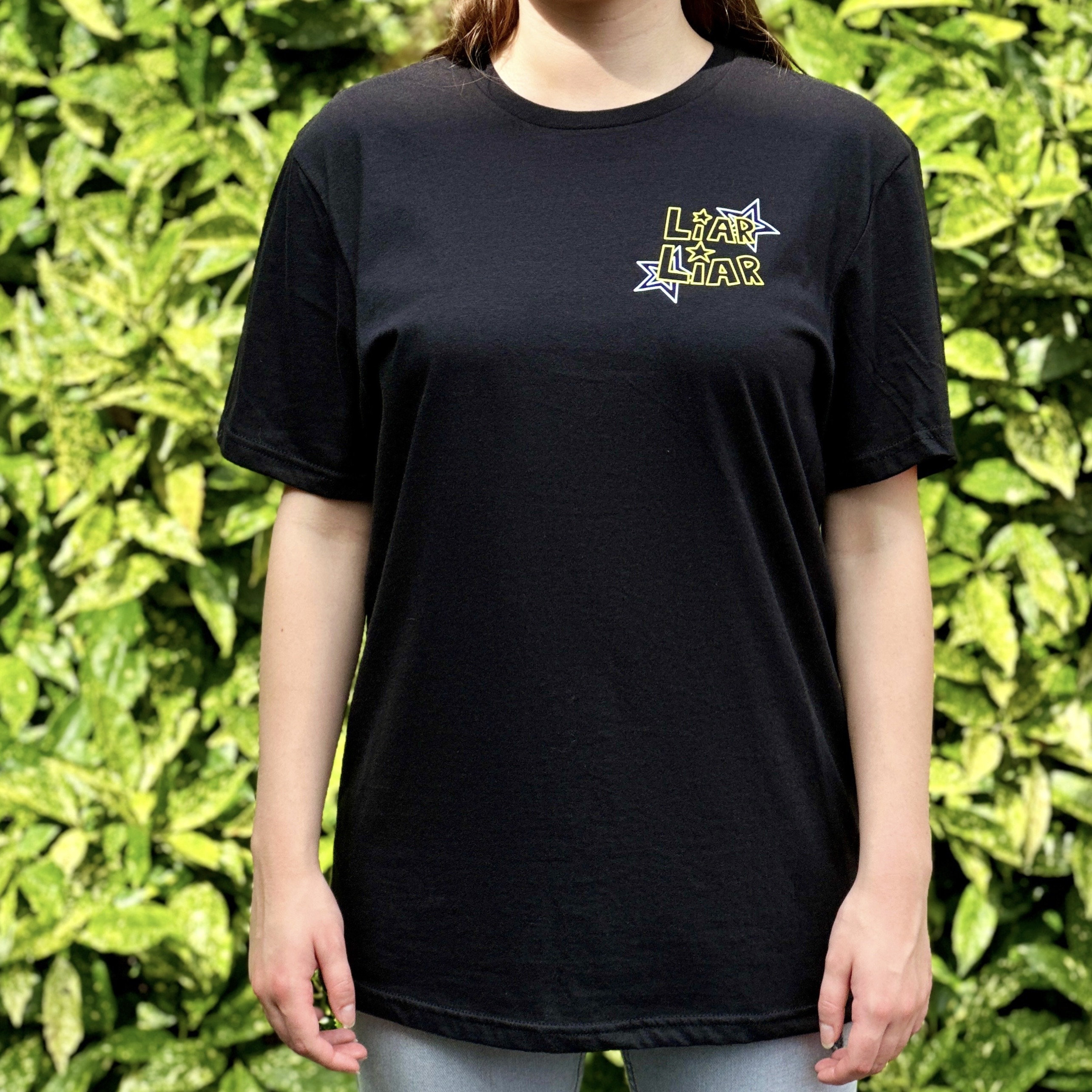 Liar Liar Dylan and Bastille Band Inspired Shirt - Etsy