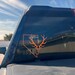 Colorado Window Decal Big Game Sticker Elk Mule Deer Pronghorn Hunting ...