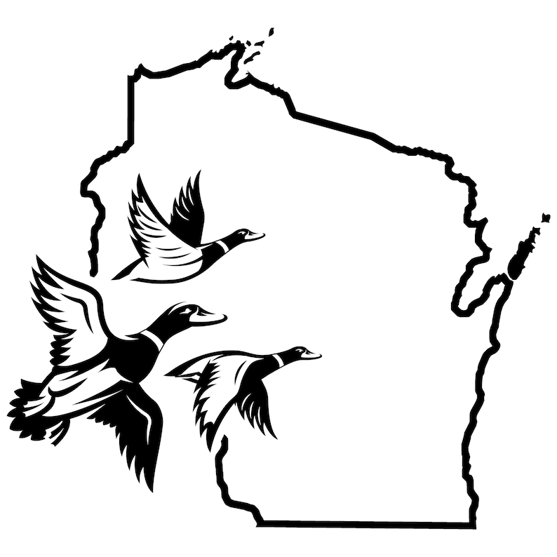 Wisconsin Waterfowl Decal for Truck Window Duck Sticker Goose Hunting ...