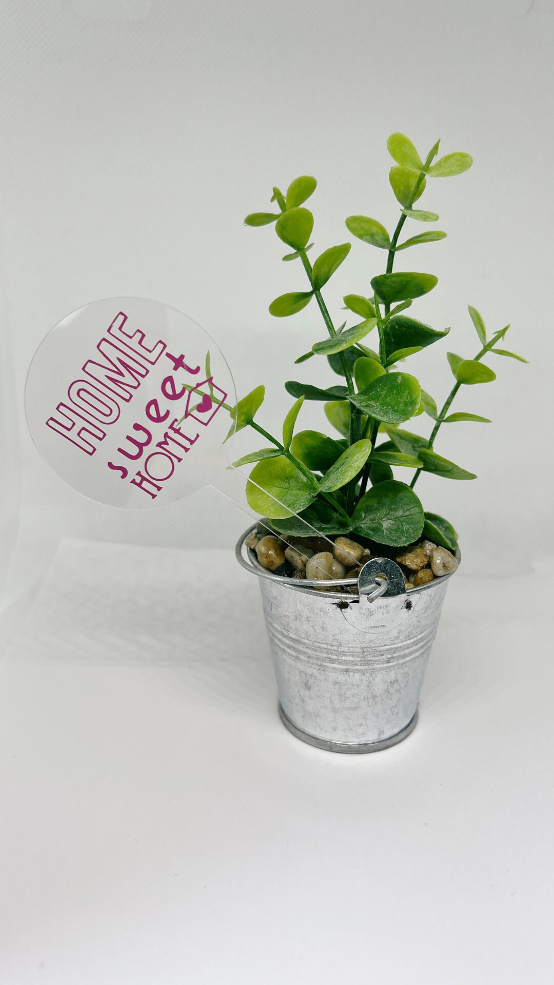 Cupcake or Plant Toppers: Mini Topper for Graduation Birthday Festival ...