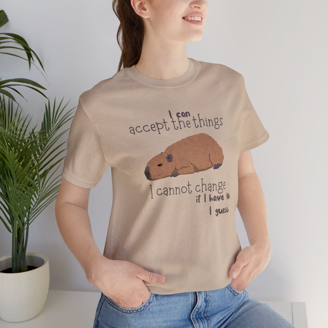 Grumpy Capybara Recovery Shirt Accept Things I Cannot Change - Etsy