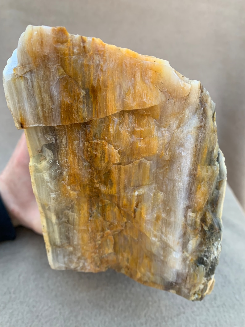 Huge Chunk of Opalized, Agatized, Petrified Wood. Collectors Piece 53 ...