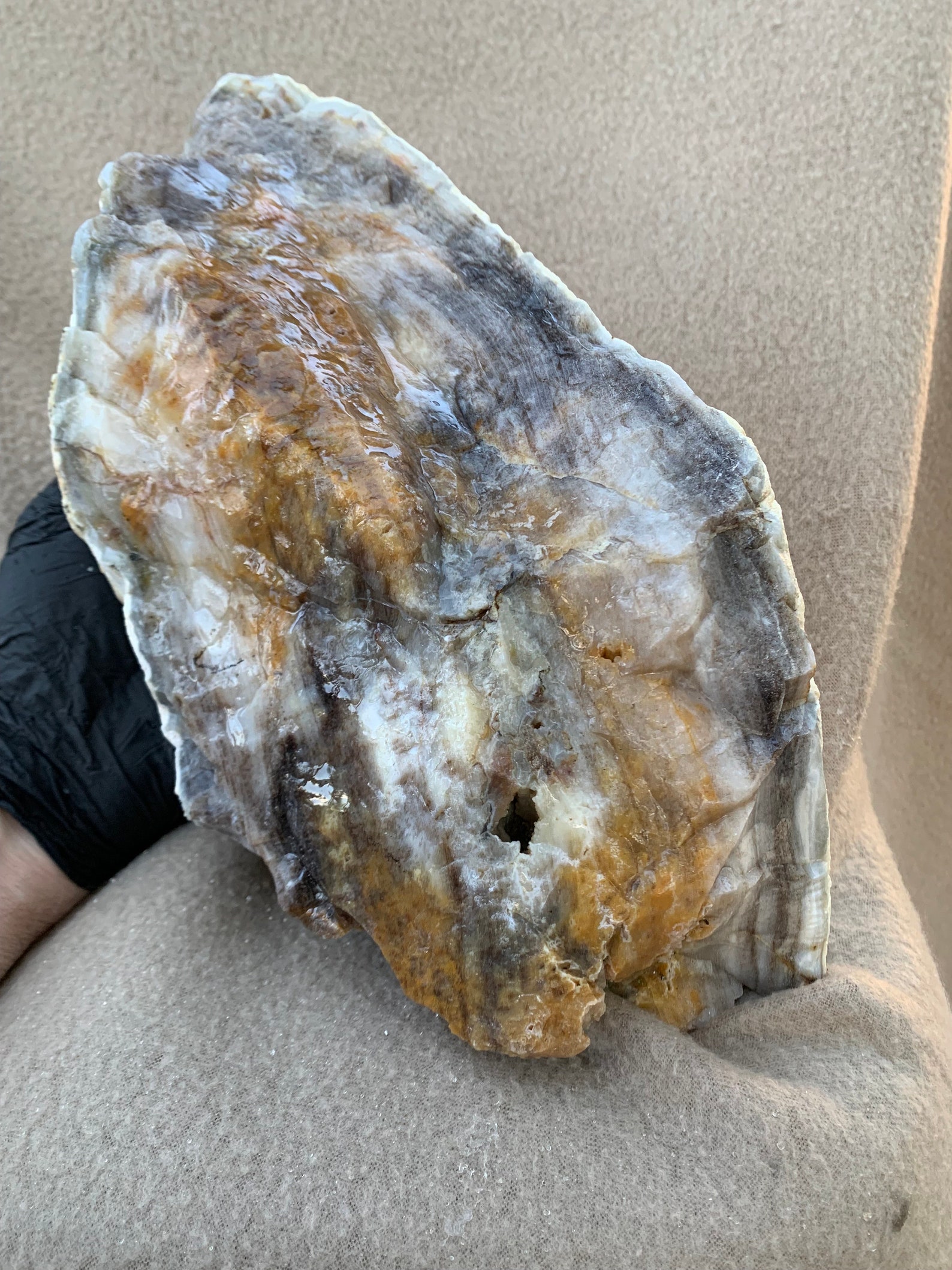 Opalized Perified Wood Collectors Piece #68 - Etsy