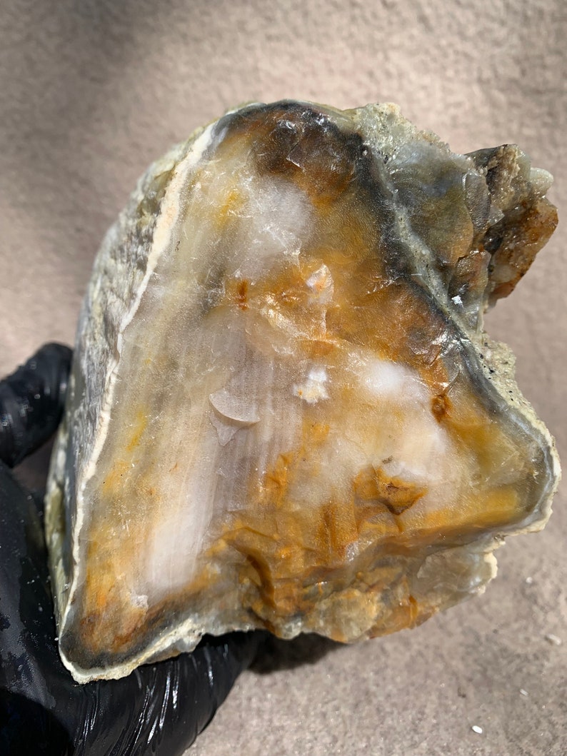 Opalized Agatized Perfified Wood 65 - Etsy