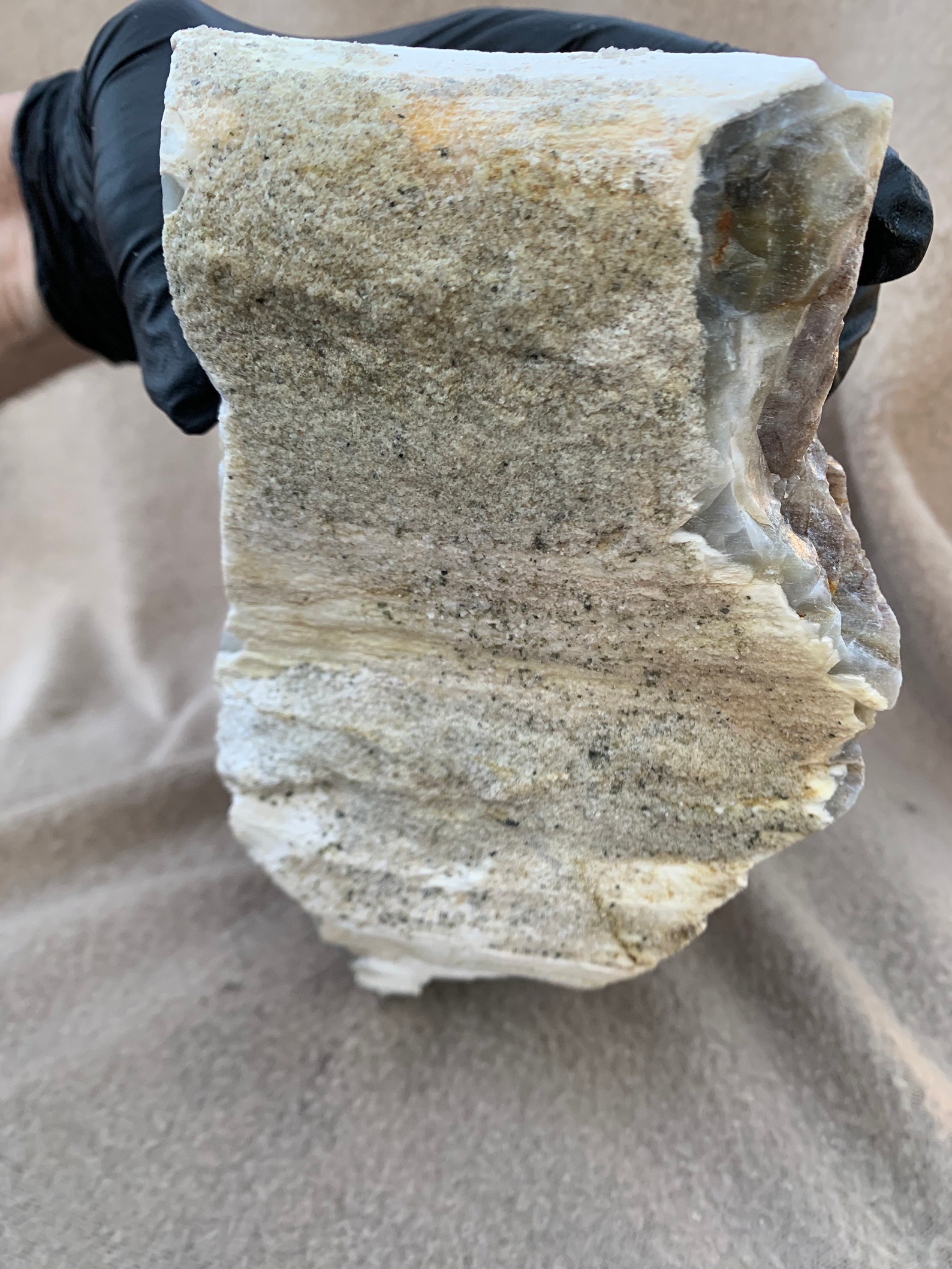 Opalized Perified Wood Collectors Piece #68 - Etsy