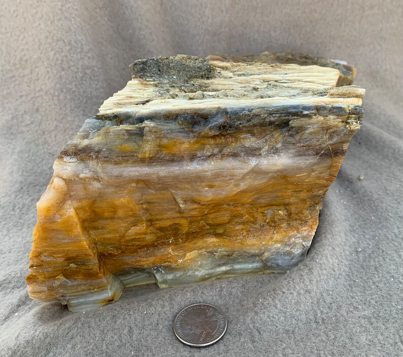 Huge Chunk of Opalized, Agatized, Petrified Wood. Collectors Piece #53 ...