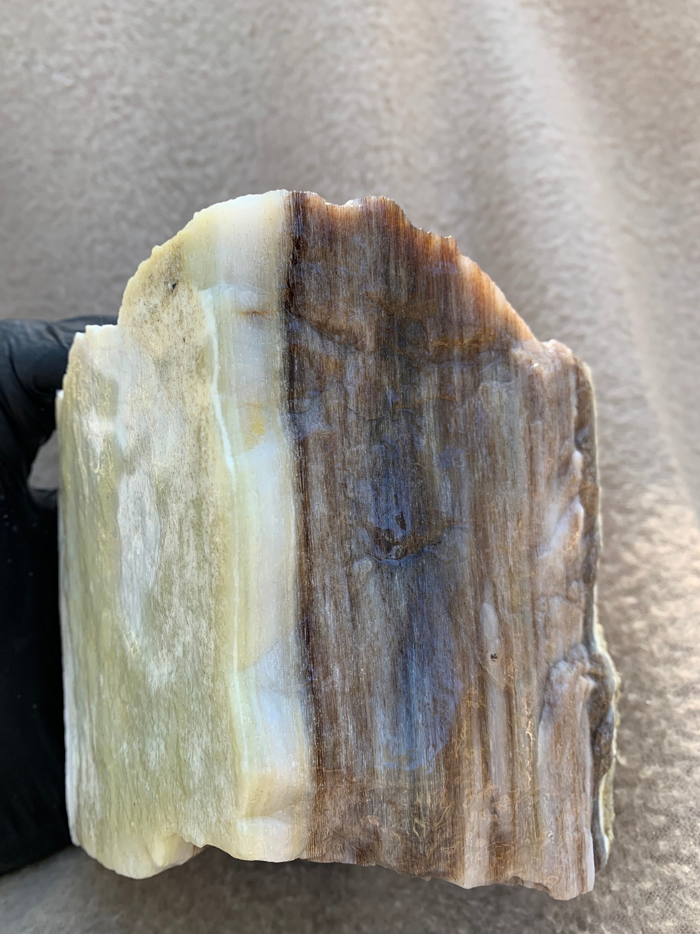 Opalized Agatized Petrified Wood 56 - Etsy