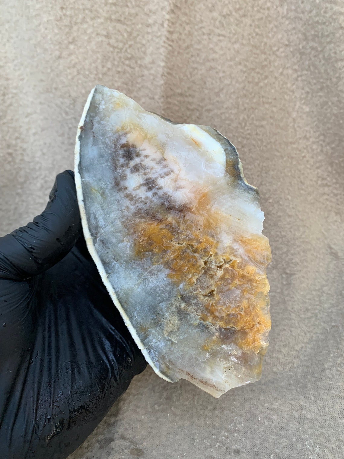 Opalized Agatized Petrified Wood 70 - Etsy