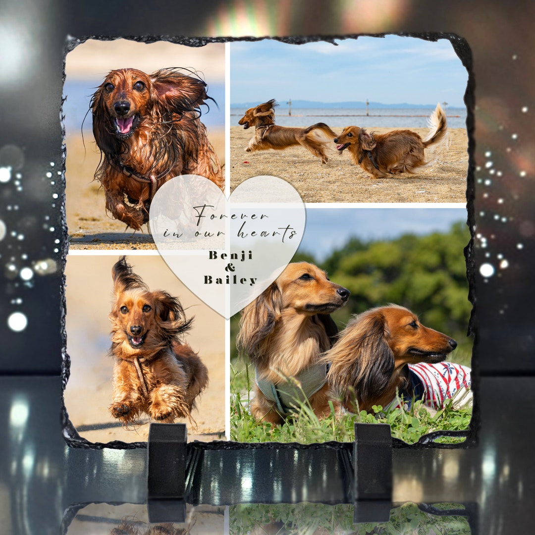 Pet Memorial Plaque, Custom Dog Memorial Slate, Pet Remembrance, Custom ...