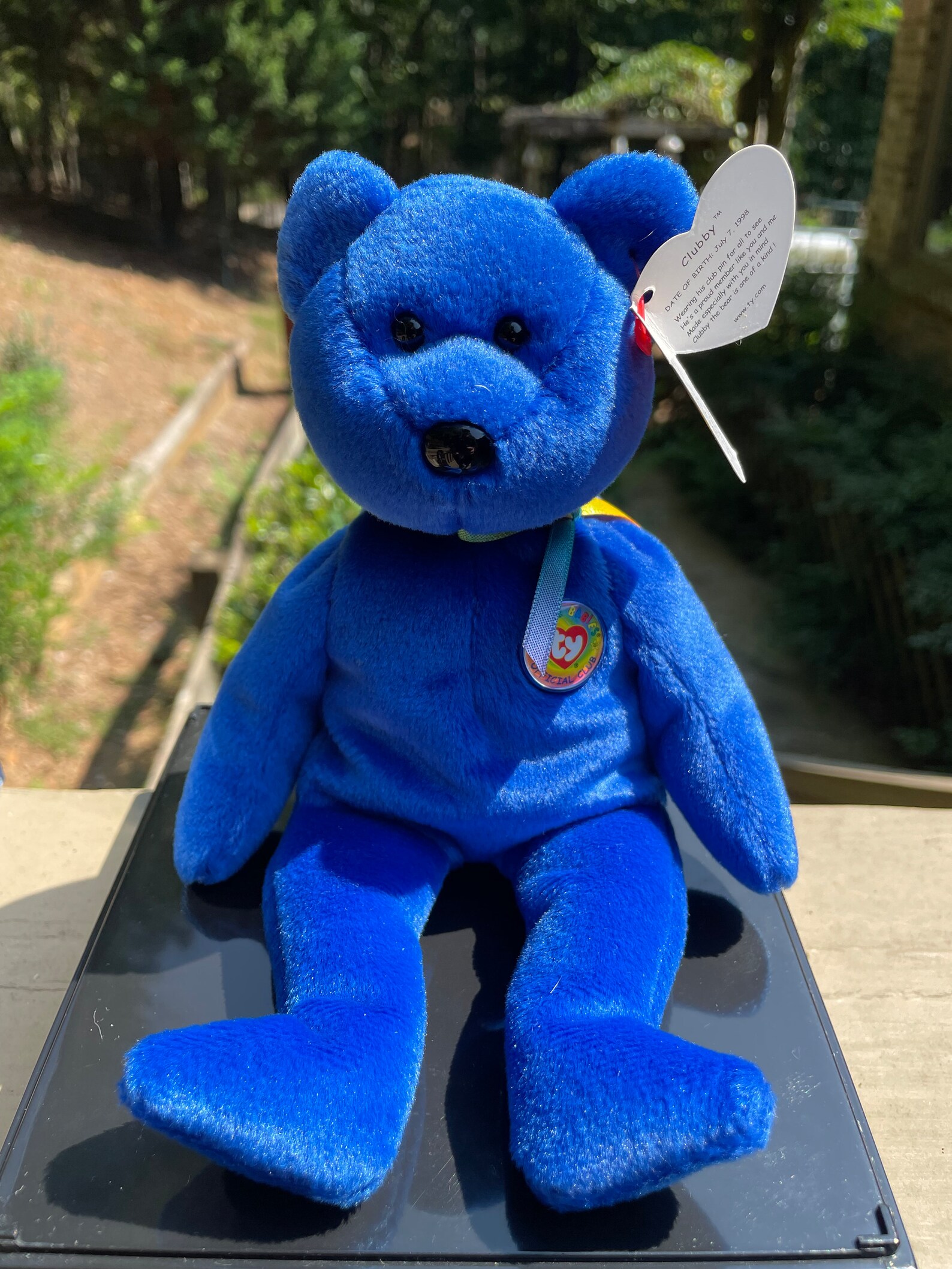 1998 TY Clubby 1st Collector Set - RARE - Etsy