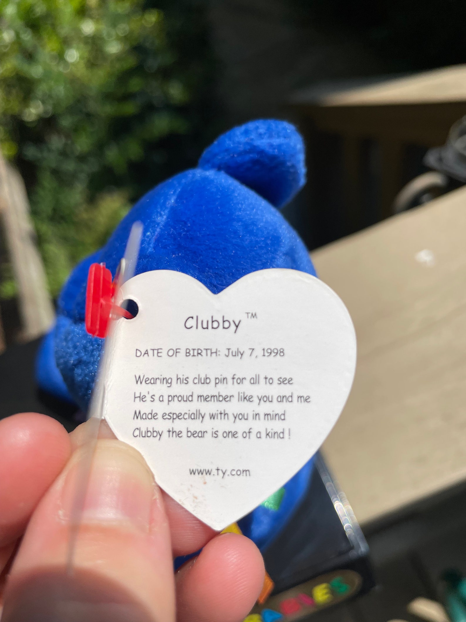 1998 TY Clubby 1st Collector Set - RARE - Etsy