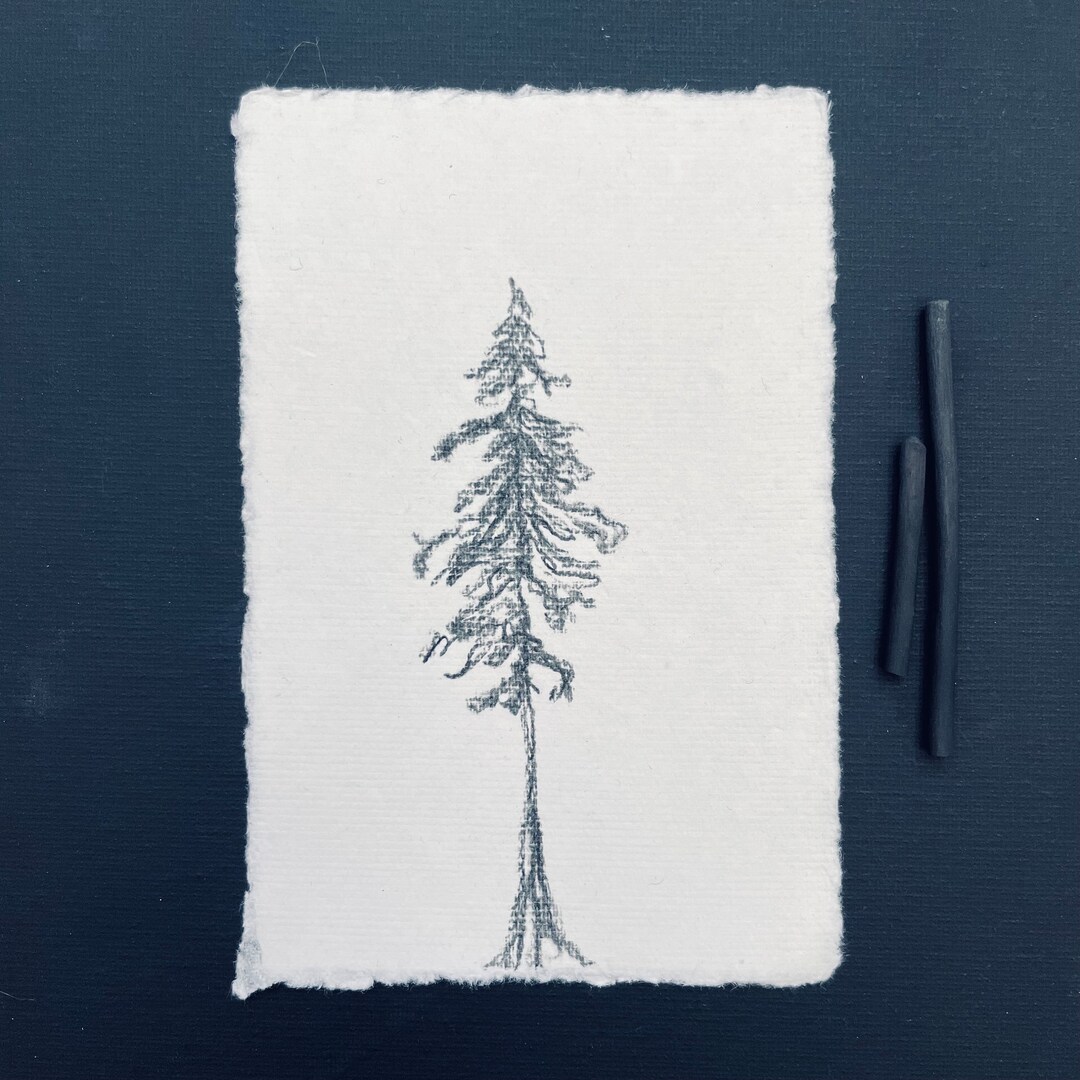 Original Charcoal Sketch Tree Original Art Drawing Black and White - Etsy