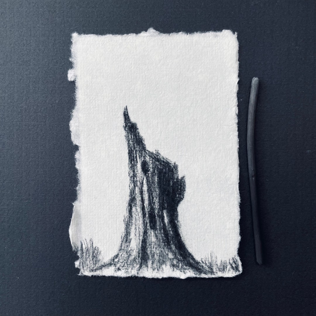 Original Charcoal Sketch Tree Stump Redwood Original Art Drawing Black and White - Etsy