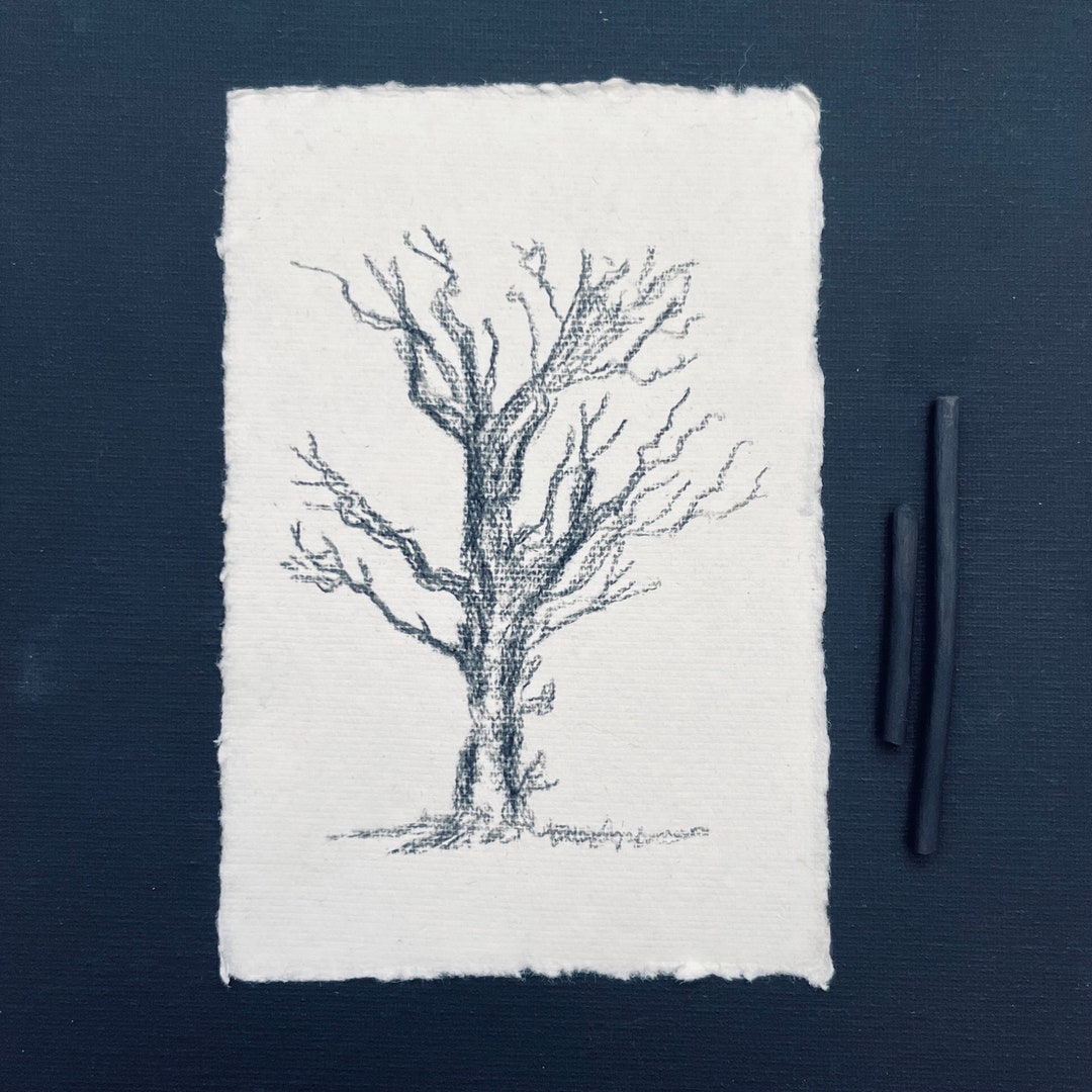 Original Charcoal Sketch Tree Original Art Drawing Black and White - Etsy