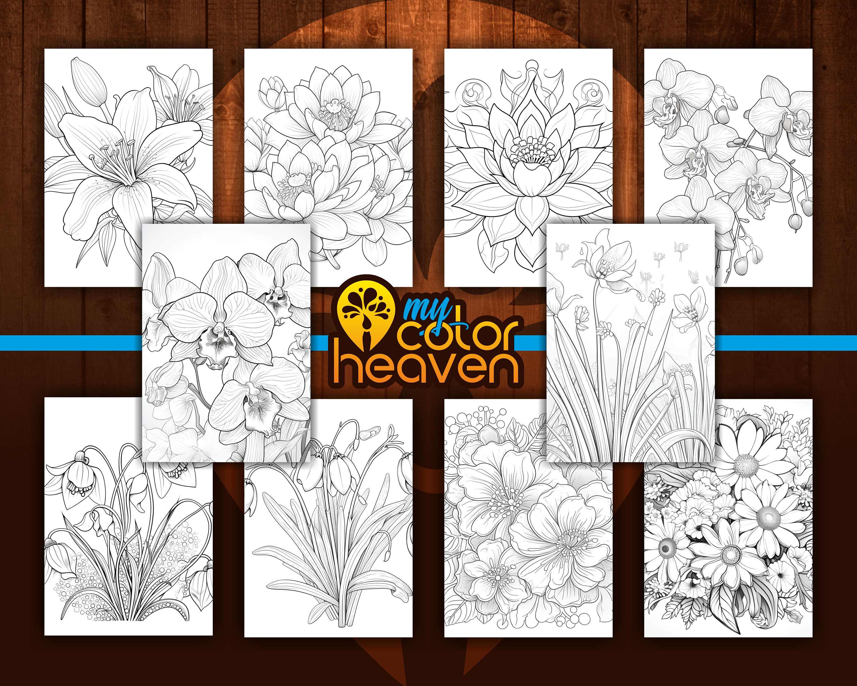 Flower Coloring Book Pages, Coloring Page for Adults and Children ...