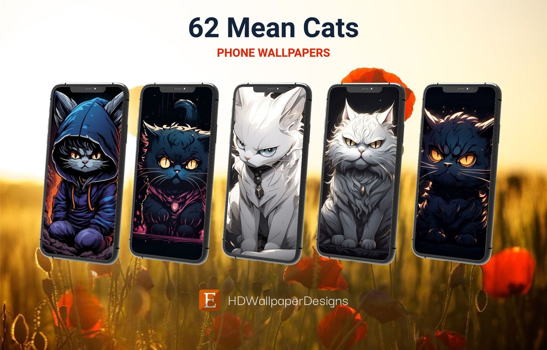 62 Mean Cats HD Phone Wallpapers Mean Kitten Nasty Cats - Etsy