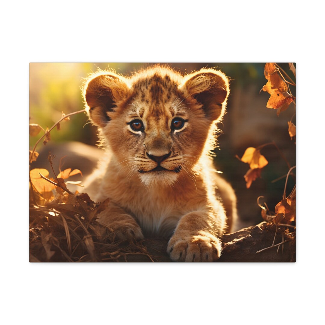 Baby Lion Cub Print Animal Nature Art Safari Nursery Canvas Gallery ...