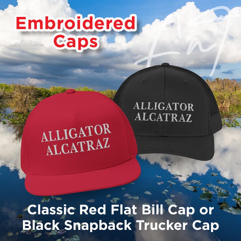 Alligator Hat - Etsy