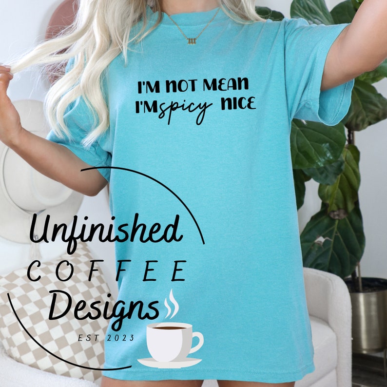 I'm Not Mean I'm Spicy Nice SVG PNG, Sassy Svg, Snarky Svg, Moody but ...
