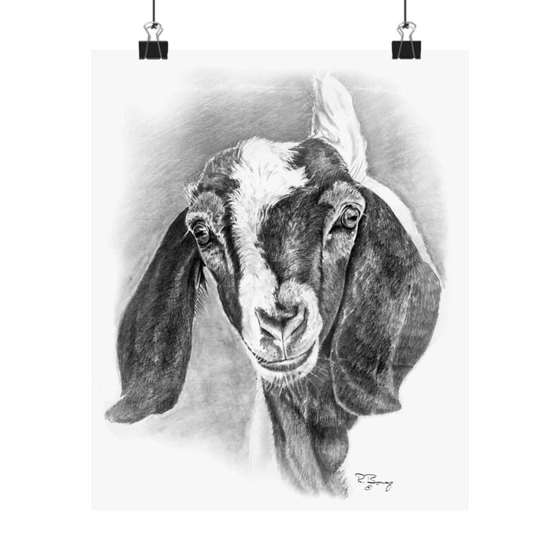 GOAT Boer Goat, Custom Print - Etsy