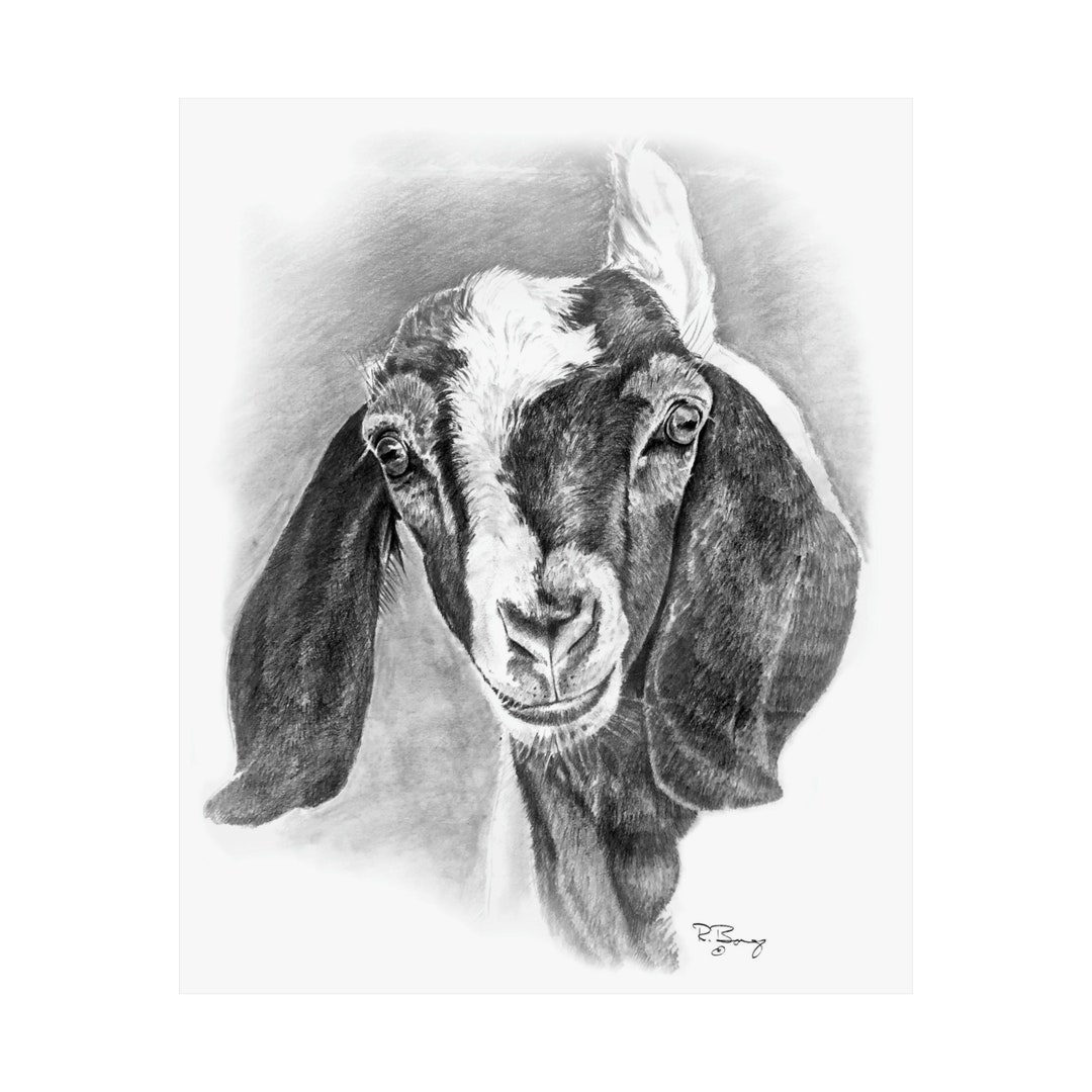 GOAT Boer Goat, Museum-grade Paper Custom Print - Etsy