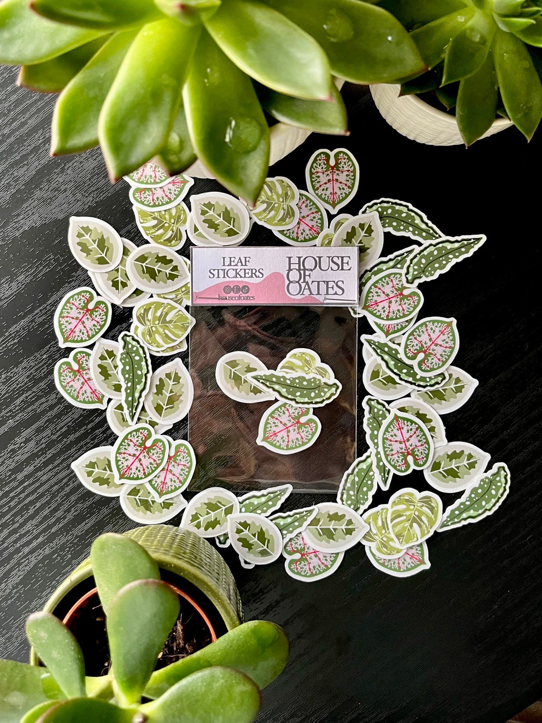 Mini Leaf Sticker Pack | Waterproof Scratchproof Nature Design | Green ...