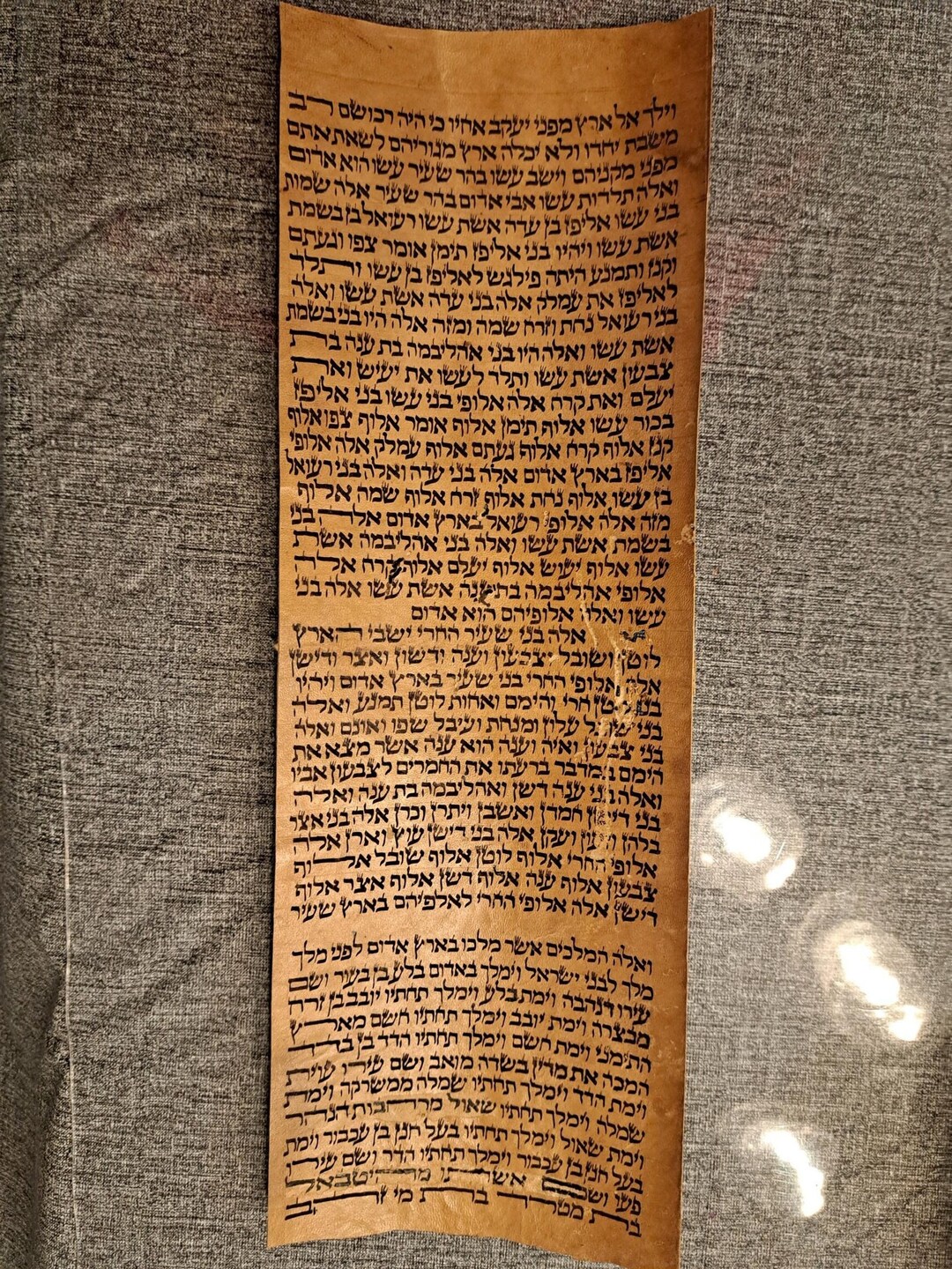 Antique Torah Manuscript on Leather Genesis 36 - Etsy