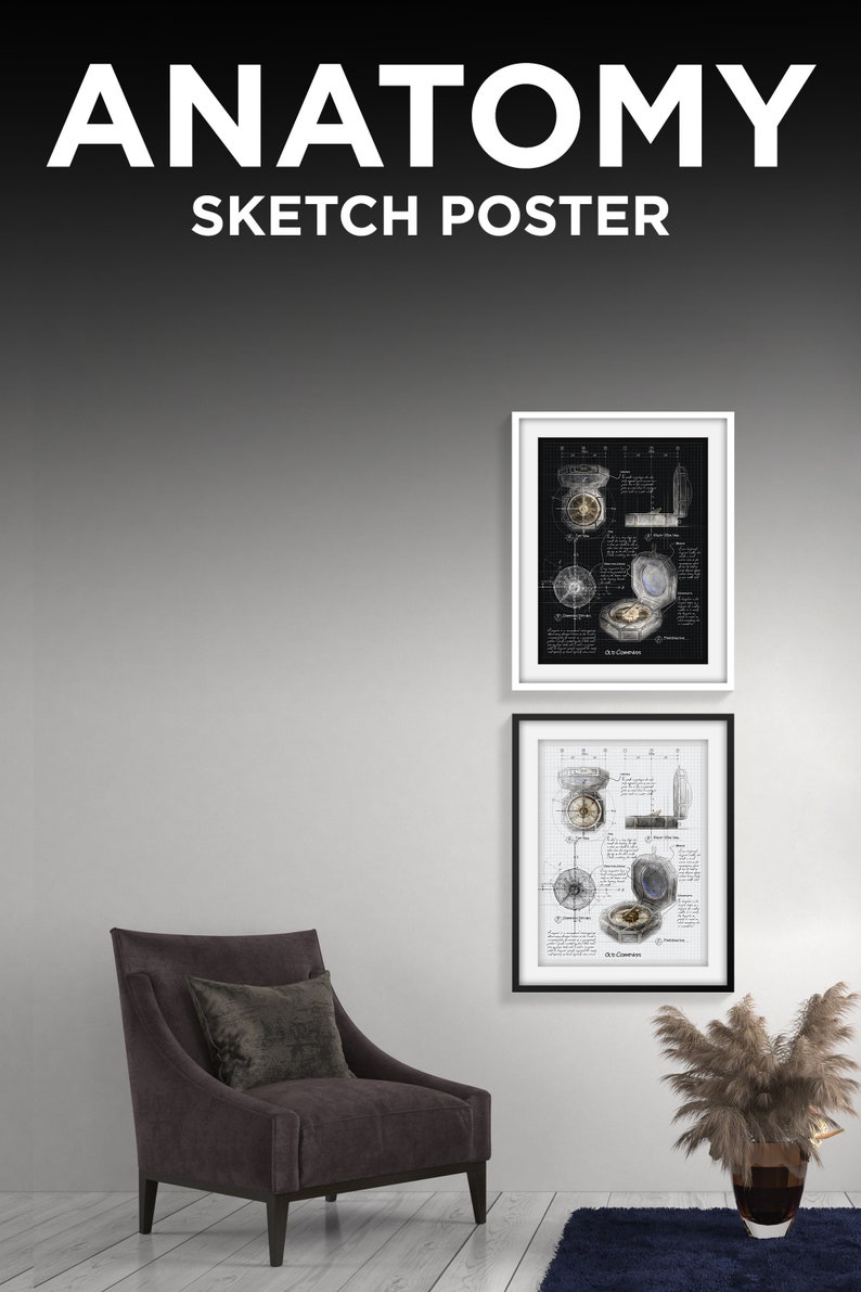 Compass Anatomy Poster Sketch, Black & White Poster, Monochrome, Unique ...