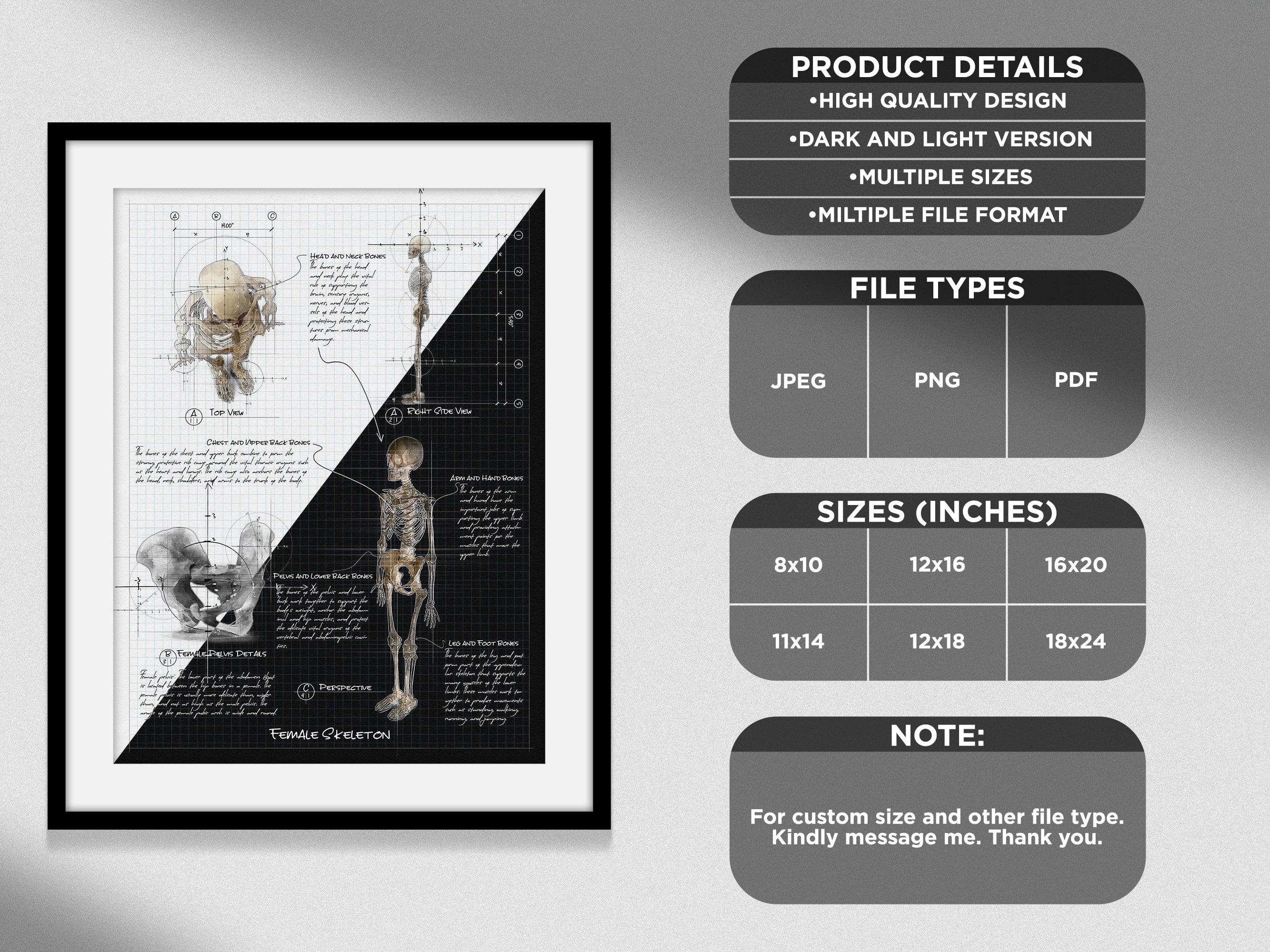 Female Skeleton Anatomy Poster Sketch Black & White Poster - Etsy