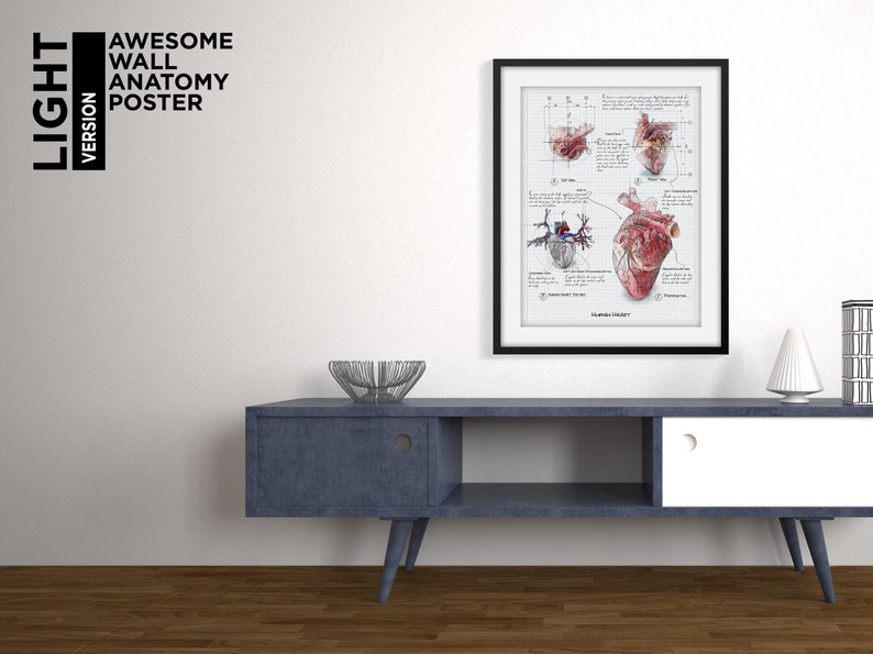 Human Heart Anatomy Poster Sketch, Black and White Poster, Monochrome ...