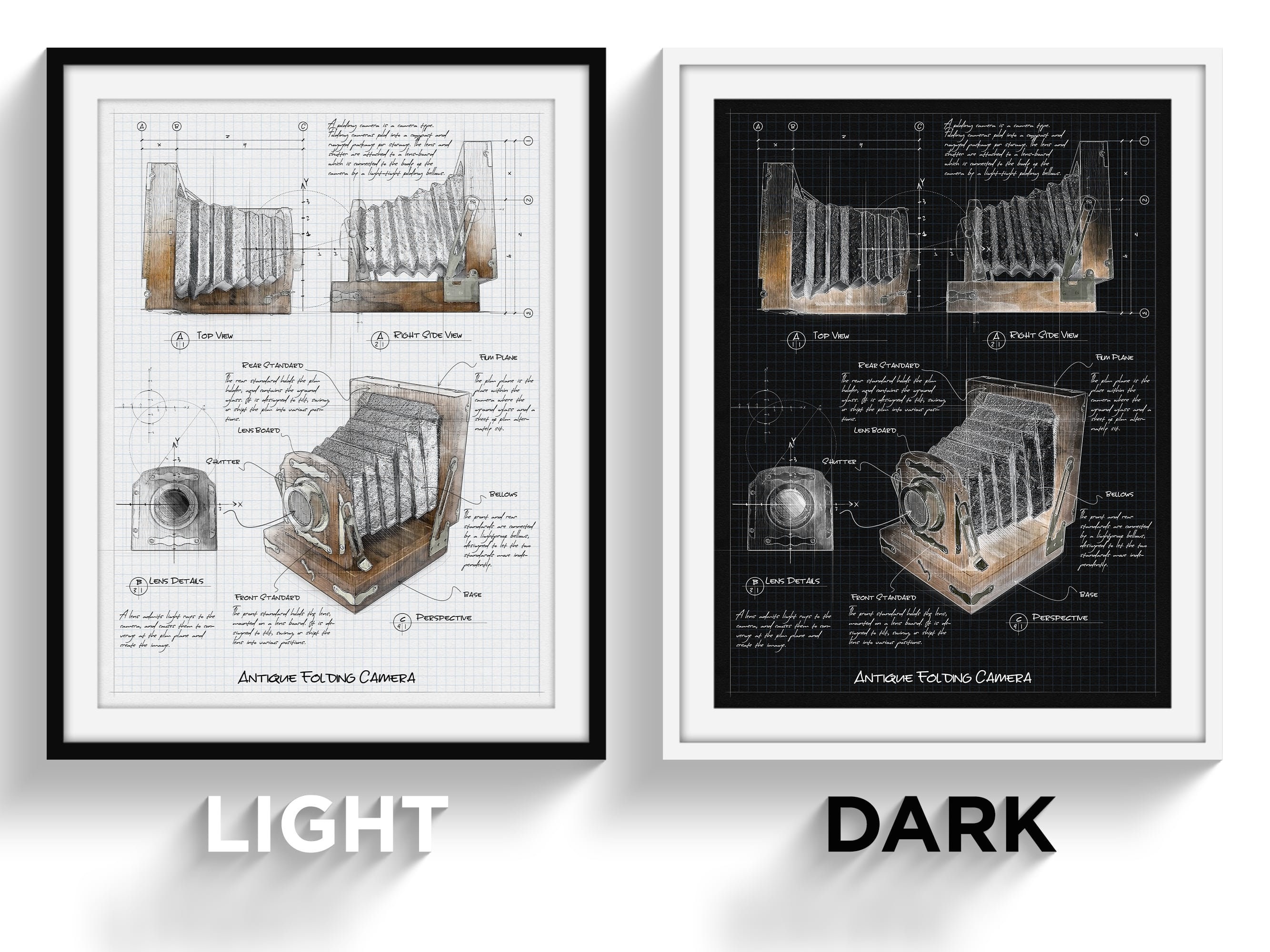 Antique Folding Camera Anatomy Poster Sketch, Black & White Poster ...