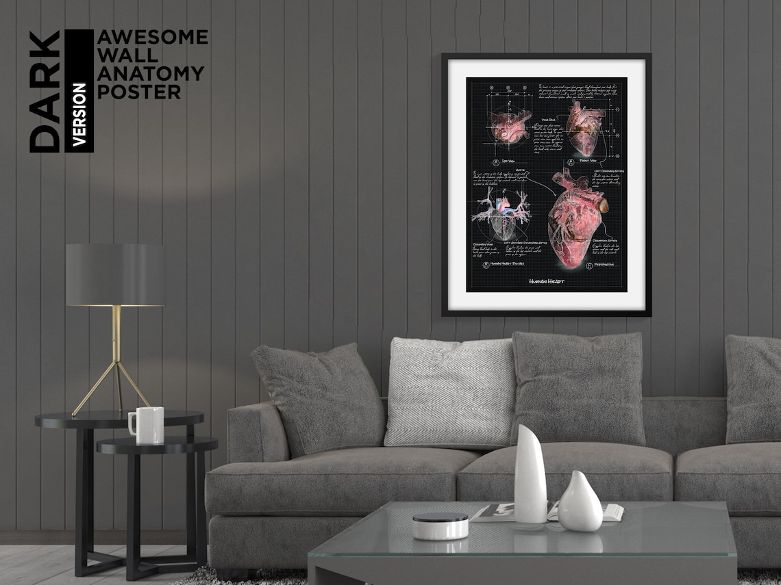 Human Heart Anatomy Poster Sketch, Black and White Poster, Monochrome ...