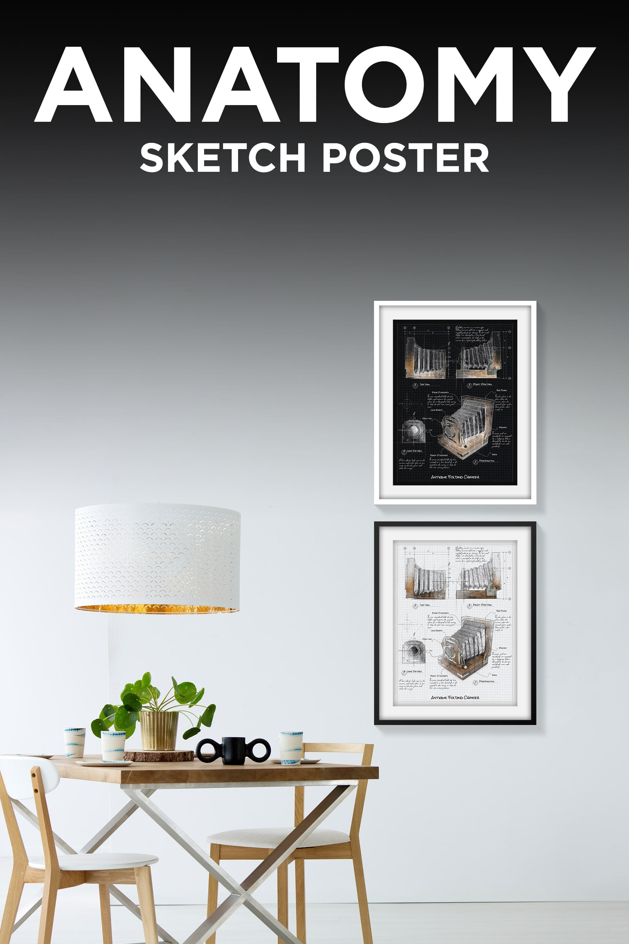Antique Folding Camera Anatomy Poster Sketch, Black & White Poster ...