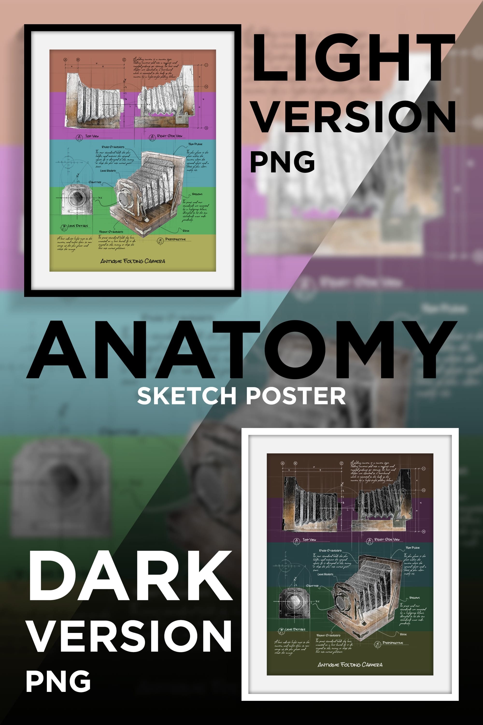 Antique Folding Camera Anatomy Poster Sketch, Black & White Poster ...