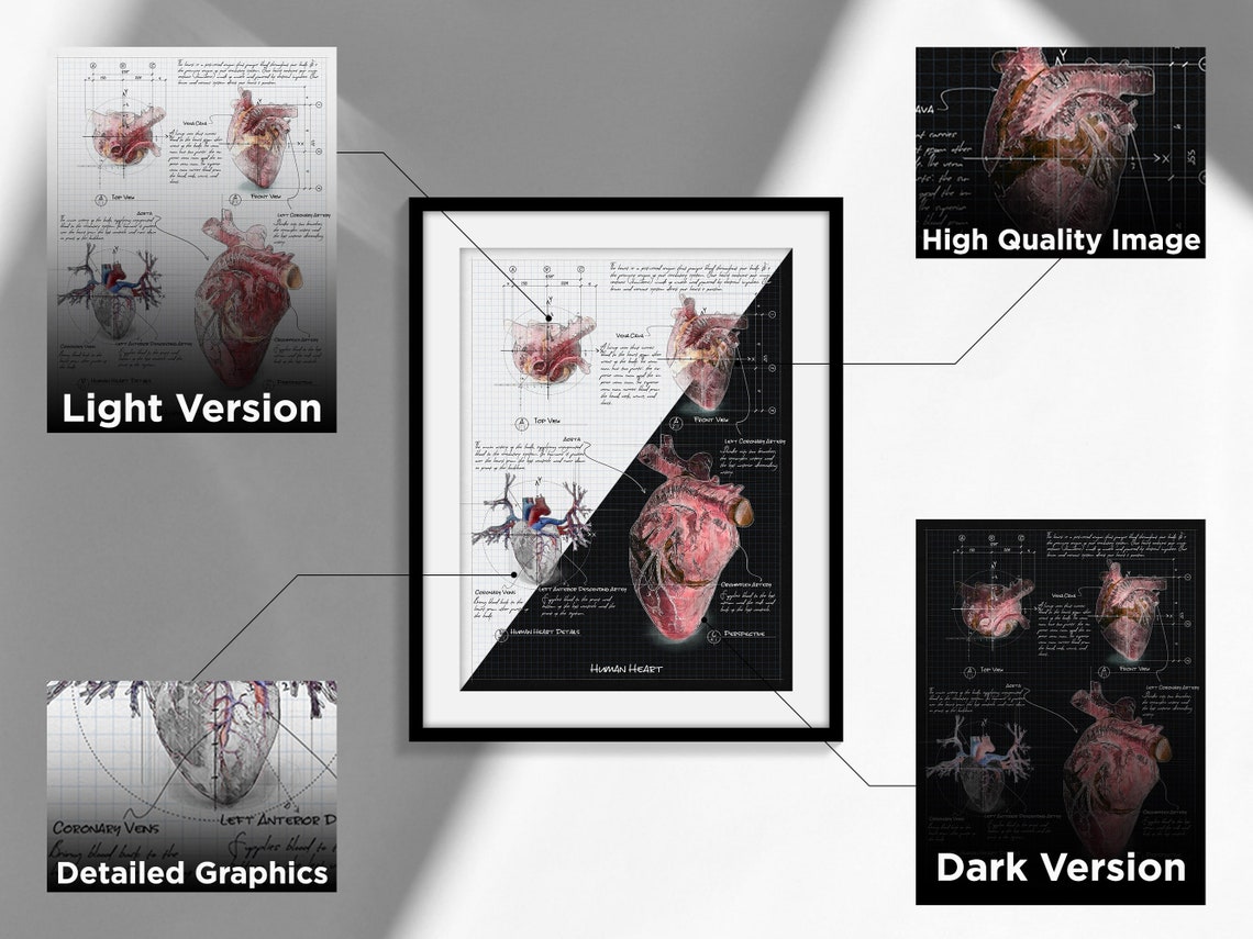 Human Heart Anatomy Poster Sketch, Black and White Poster, Monochrome ...