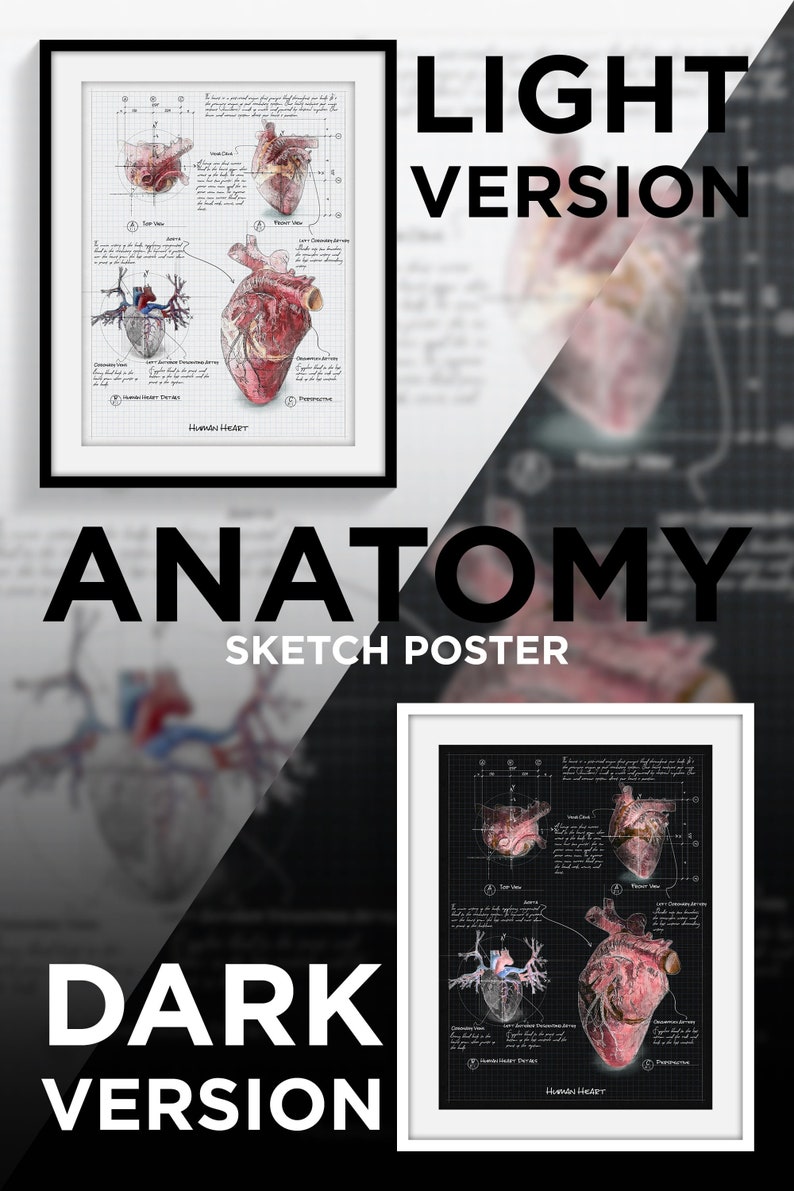 Human Heart Anatomy Poster Sketch, Black and White Poster, Monochrome ...