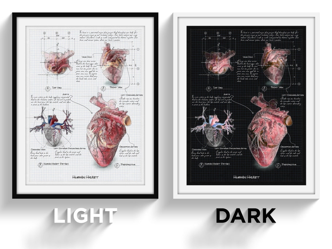 Human Heart Anatomy Poster Sketch, Black and White Poster, Monochrome ...