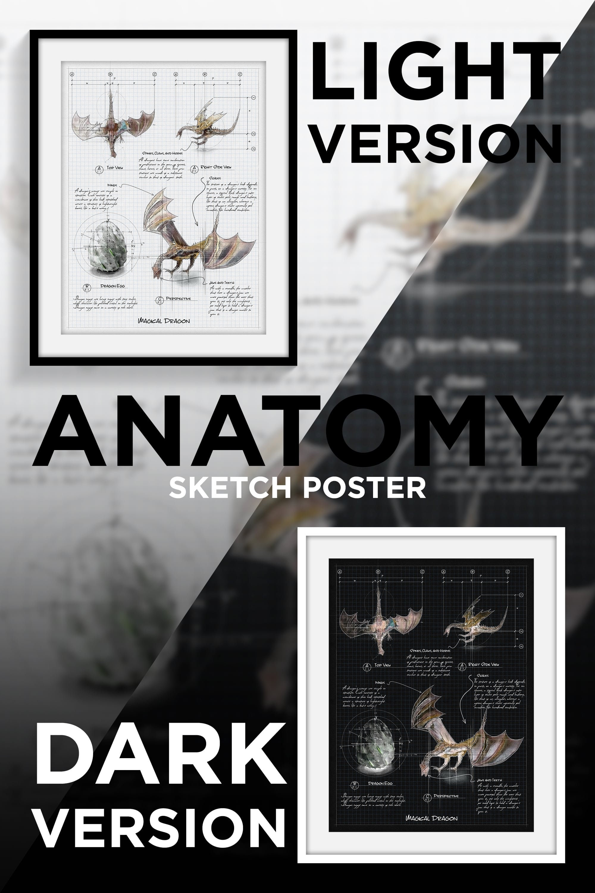 Magical Dragon Landing Anatomy Poster Sketch Black and White - Etsy