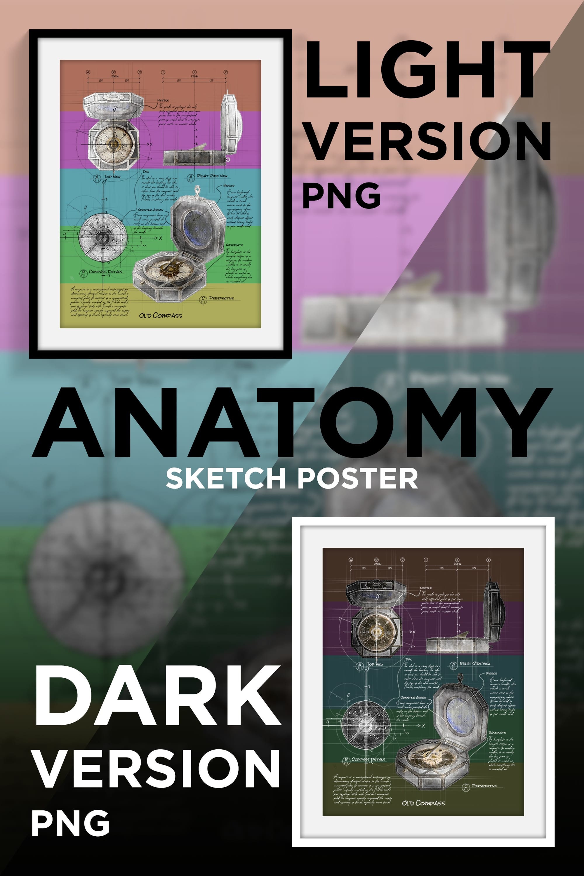 Compass Anatomy Poster Sketch Black & White Poster - Etsy