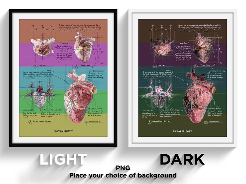 Human Heart Anatomy Poster Sketch, Black and White Poster, Monochrome ...